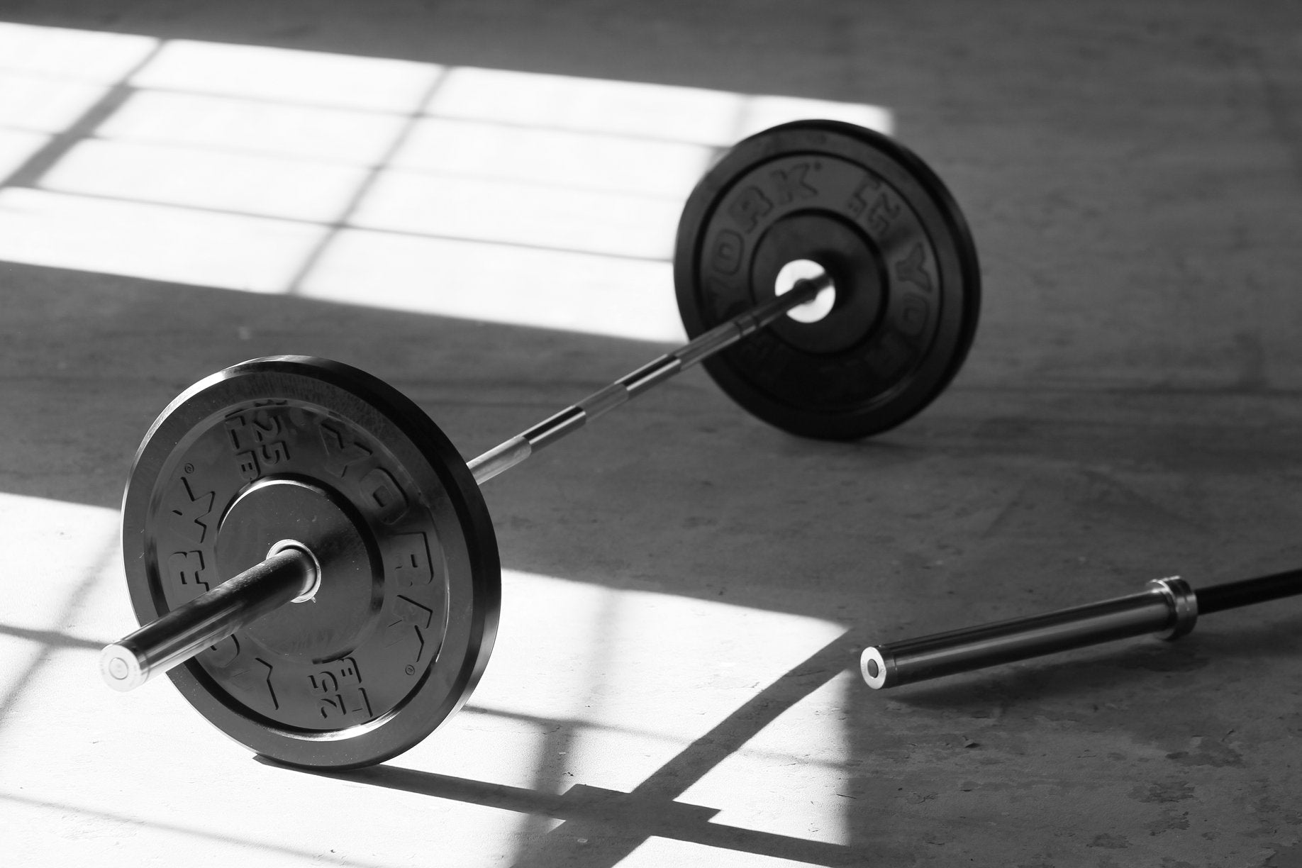 Strength Equipment | Equipment for your Gym | FEO